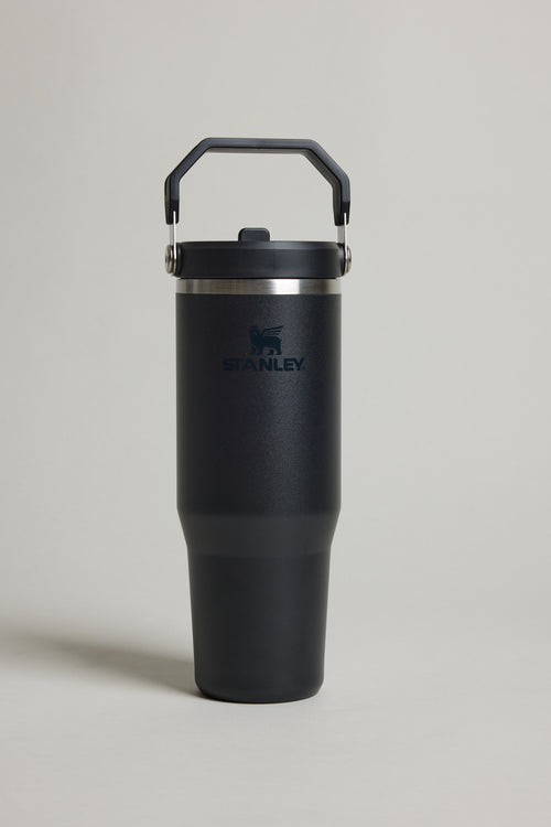 Shop Stanley The IceFlow Flip Straw Tumbler 30oz (BLACK) | Stanley ...